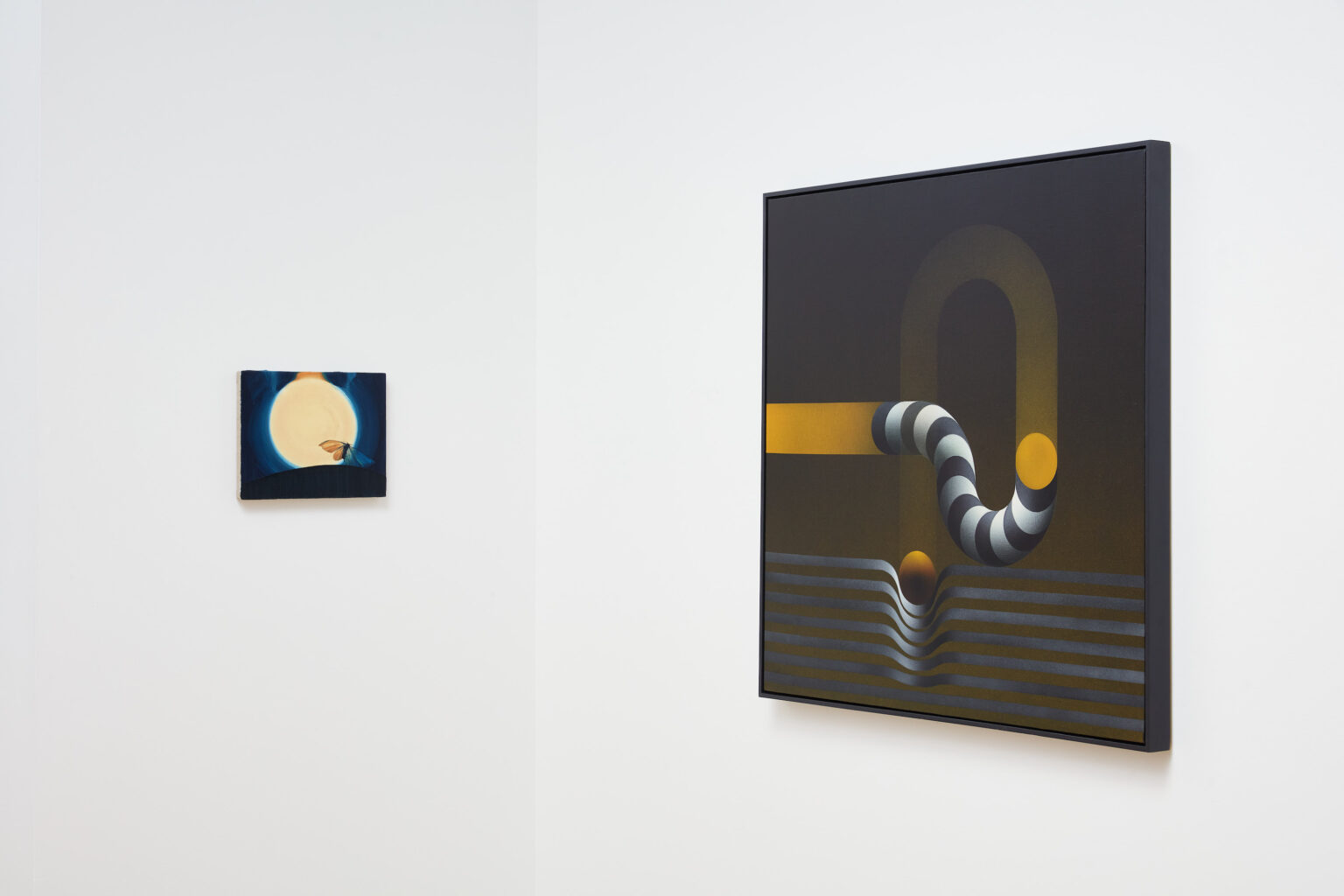 Nocturne / ANDREW RAFACZ