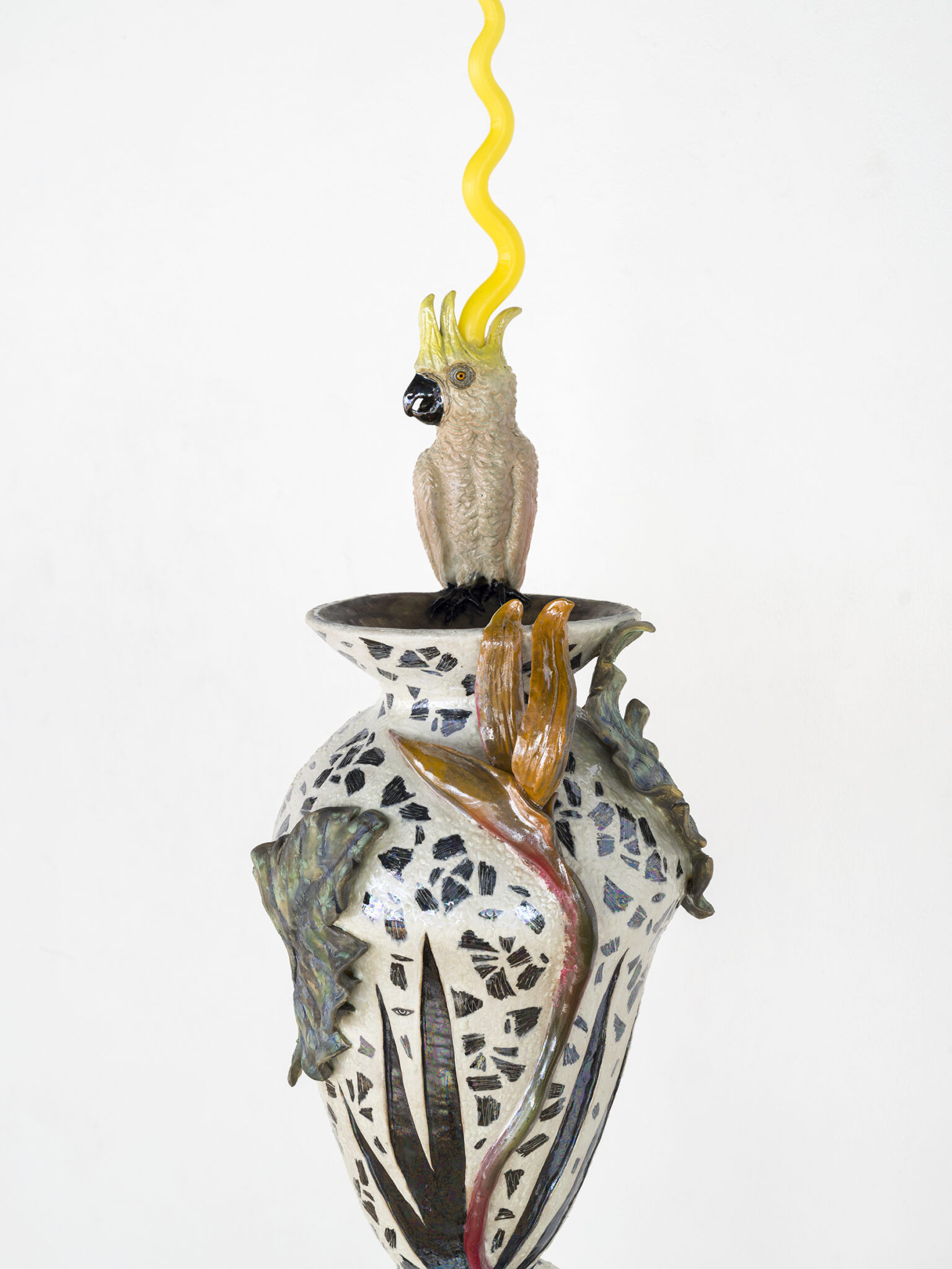 Roxanne Jackson / ANDREW RAFACZ